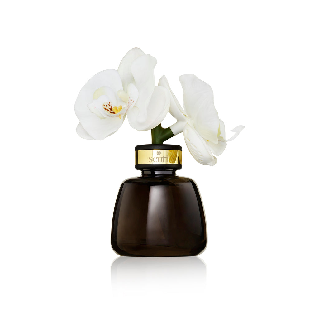 The Little Orchid - Amber & Oud | Luxury Reed Diffuser | Senti – Senti UK